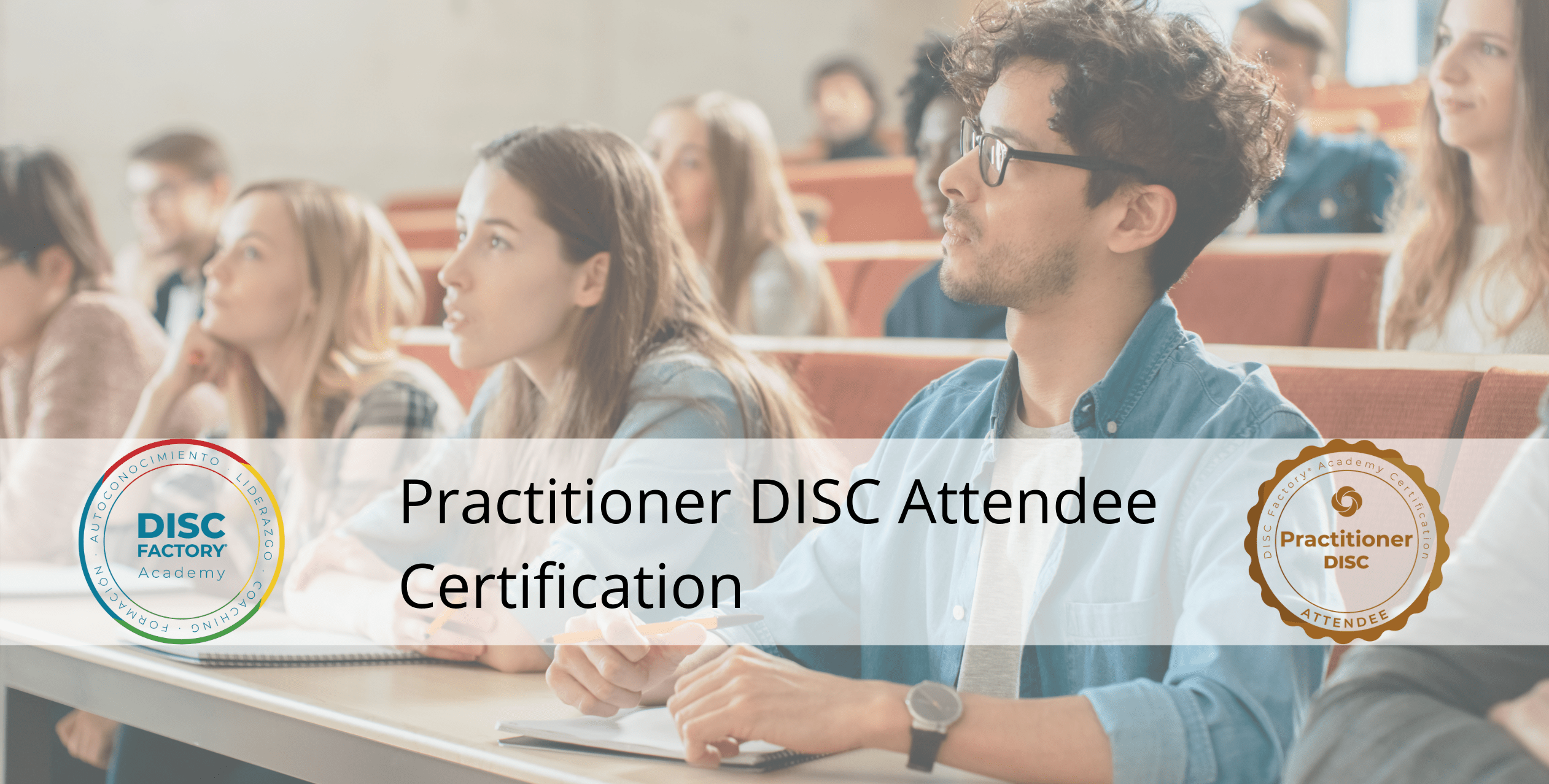 Practitioner DISC Attendee - Disc Factory