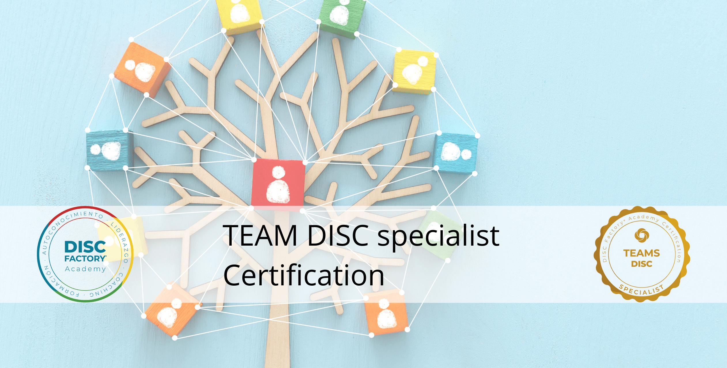 Certificación TEAM DISC Specialist - Disc Factory